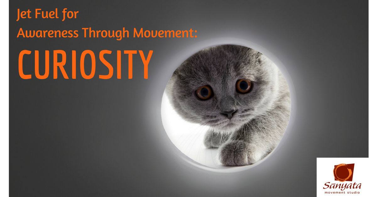 Jet Fuel for Awareness Through MovementⓇ: Curiosity