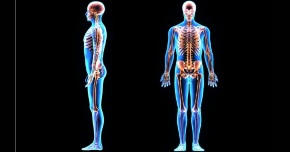 How to Improve Your Posture Effortlessly the Feldenkrais® Way