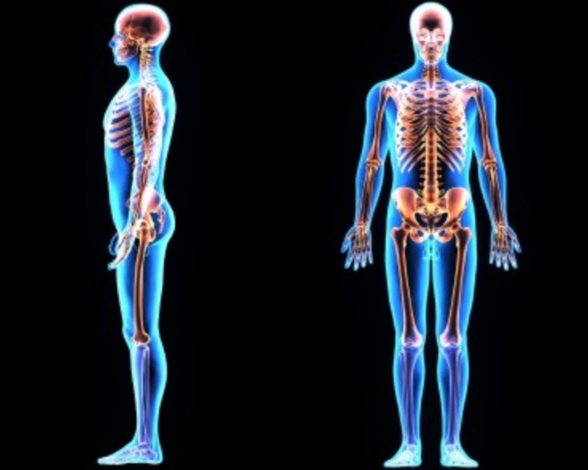 How to Improve Your Posture Effortlessly the Feldenkrais® Way